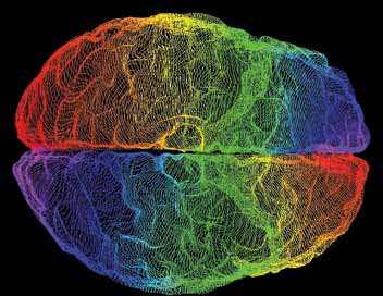 New Brain-Imaging Techniques Help Diagnose Neurologic Conditions
